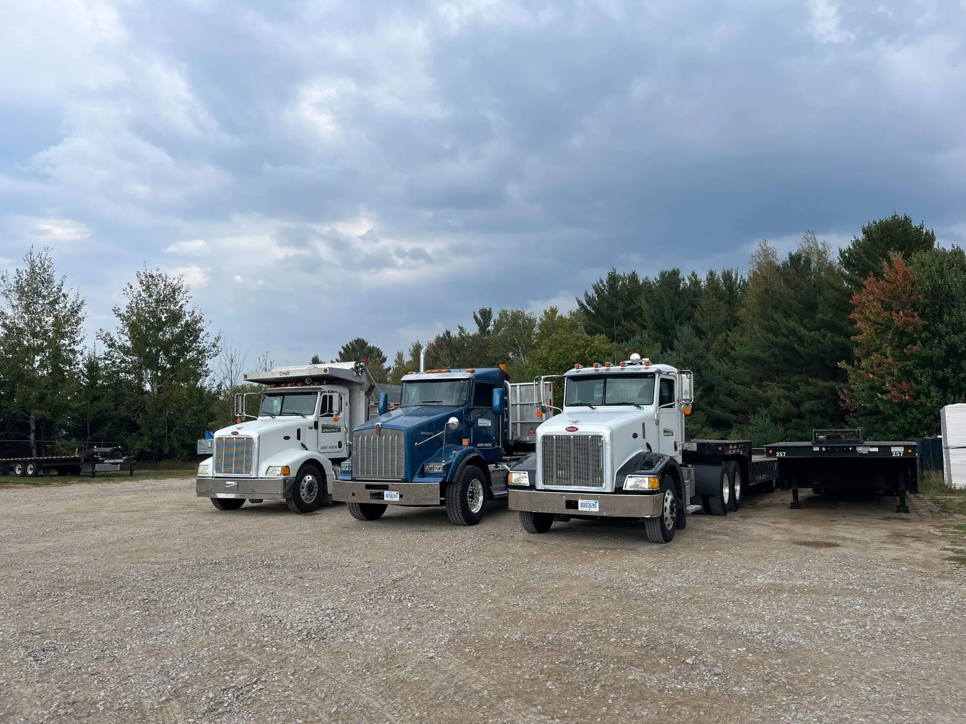 Transport and Trucking in Michigan | Springfield Transport